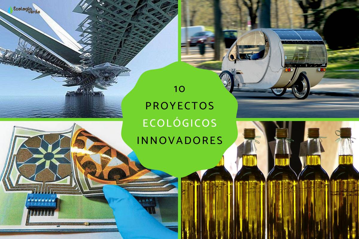 Indicadores clave para evaluar proyectos ecológicos
